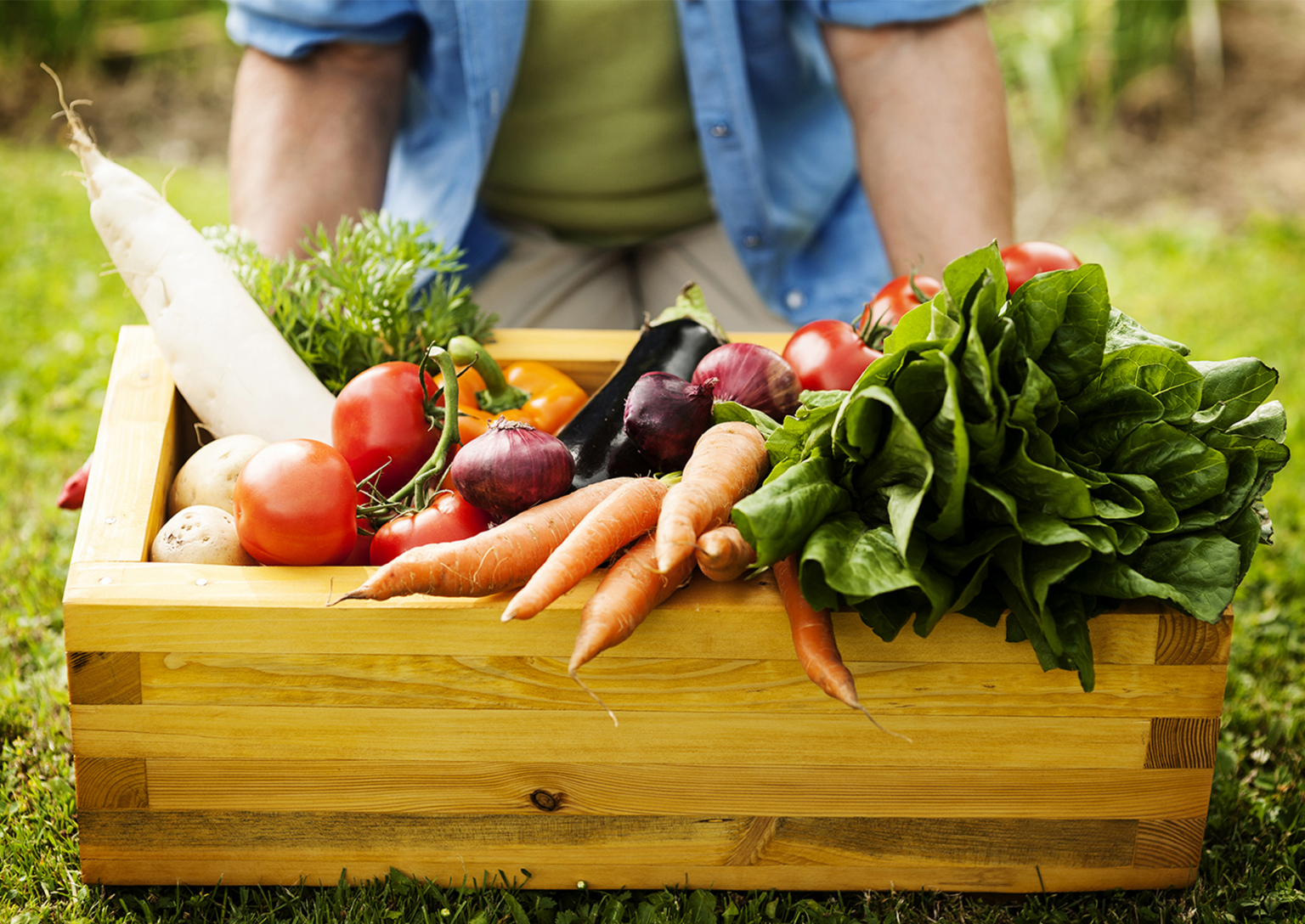 Vodič kroz prolećnu sezonu sadnje cveća, povrća i začinskog bilja ...