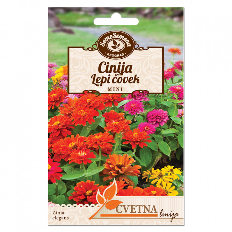 Cinija Lepi čovek – mini – Seme Semena