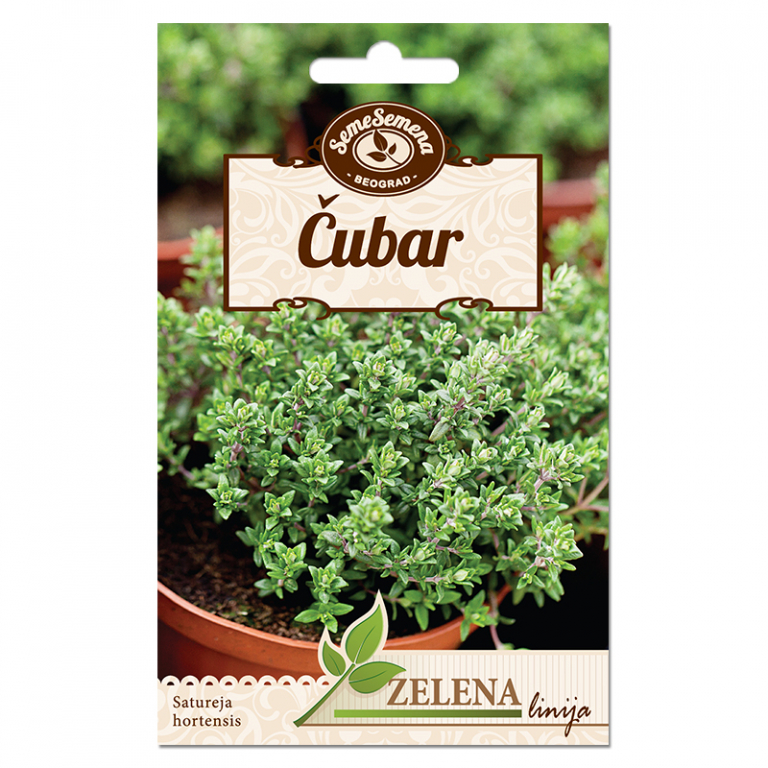 Čubar – Seme Semena