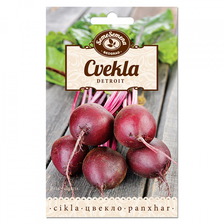 Cvekla Detroit – Seme Semena