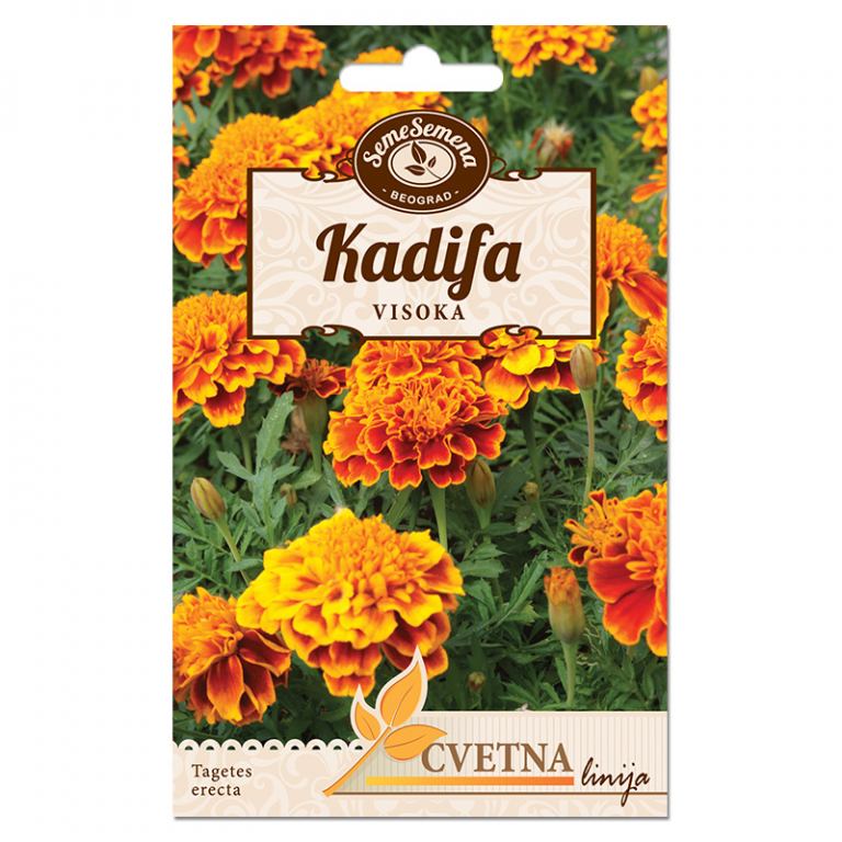 Kadifa Visoka – Seme Semena