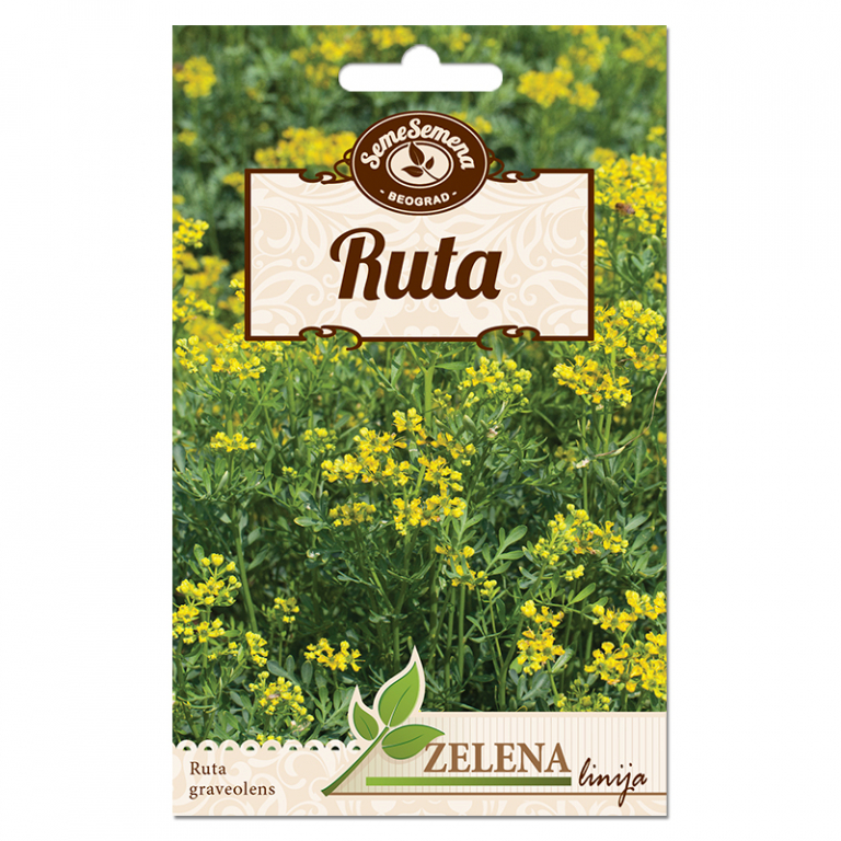 Ruta – Seme Semena