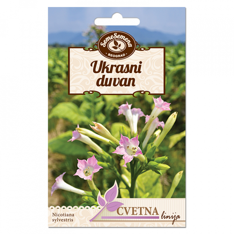 Ukrasni duvan – Seme Semena